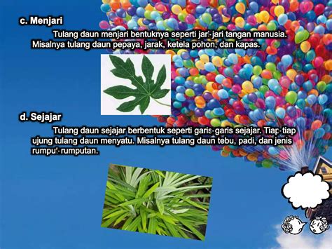 Struktur Dan Fungsi Jaringan Pada Daun Pptx