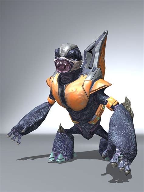 image grunt halo nation — the halo encyclopedia halo 1 halo
