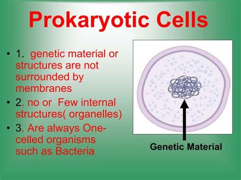 Lecture 1 The Cell Is A Structural Functional Unit Of Life Pptx