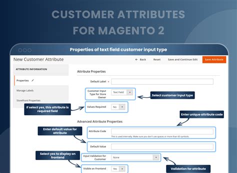magento 2 customer attributes extension mageants