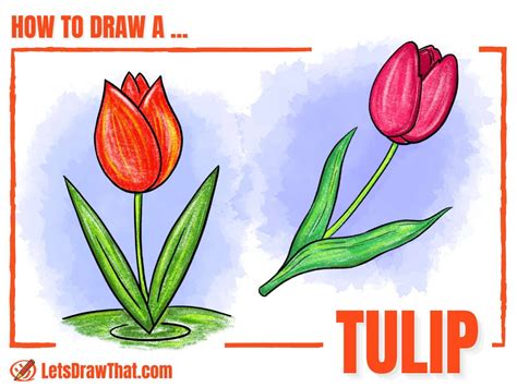 How To Draw A Tulip Simple Step By Step Drawing