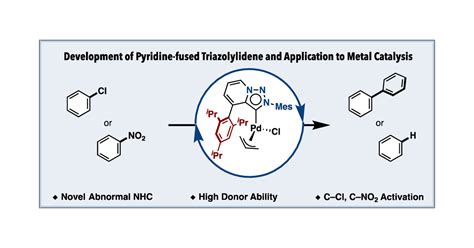 Synthesis And Properties Of Pyridine Fused Triazolylidenepalladium Catalyst For Cross Coupling