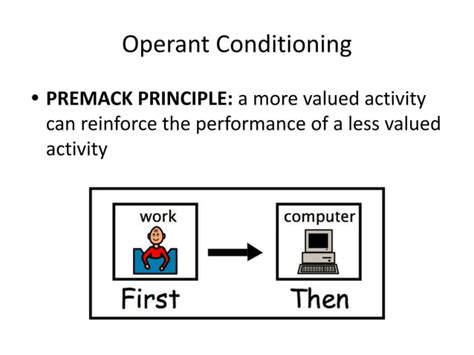 Ch06 Learning | PPT