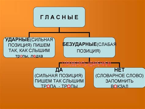 Орфограммы в корне 5 класс презентация онлайн