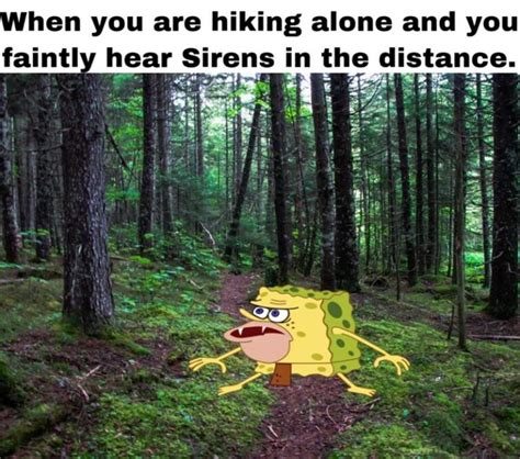 30 Funny Hiking Memes You Can Enjoy Without Getting Lost In The Woods