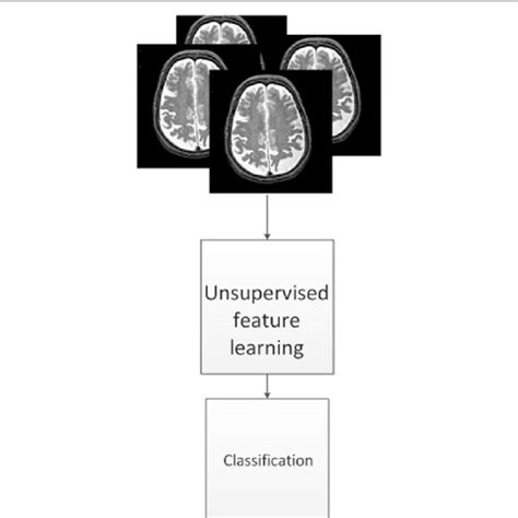 ad and mci classification framework download scientific diagram