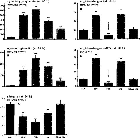 Figure 1 From Angiotensinogen An Acute‐phase Protein Semantic Scholar