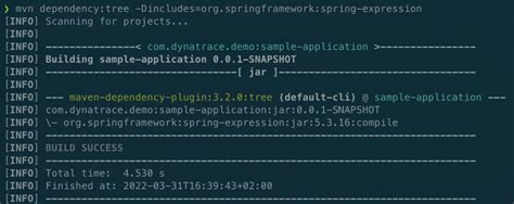 Spring Shell Detect And Mitigate Vulnerabilities In Spring