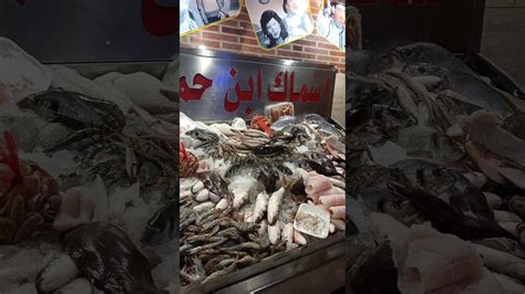 عرض سمك ابن حميدو العاشر Youtube