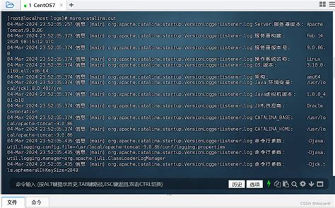 验证tomcat进程是否启动成功 ps ef grep tomcat csdn博客