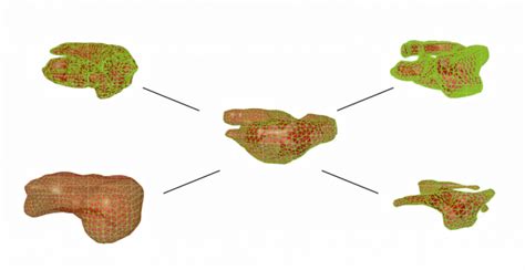 Genetic Optimization Model Iaac Blog