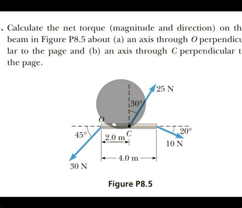 Calculate The Net Torque Magnitude And StudyX