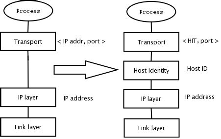 HIP Introduces A New Layer To The Stack Download Scientific Diagram