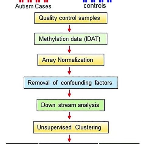 Schematic Summary Of The Methylation Array Data Processing And Analysis Download Scientific