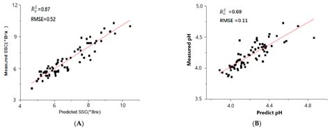 Hyperspectral Imaging Using A Convolutional Neural Network With