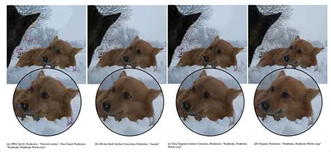 solving the jpeg artifact problem in computer vision datasets unite ai