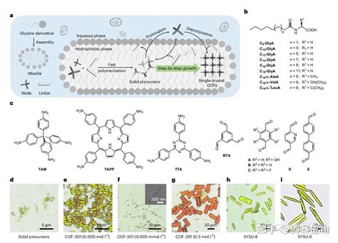 利用两亲性氨基酸衍生物在水中生长单晶亚胺联共价有机框架 知乎