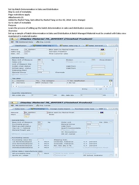 set up batch determination in sales and distribution pdf metadata