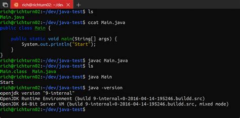 Java System Out Println Doesn T Print In Windows Linux Subsystem Bash Stack Overflow