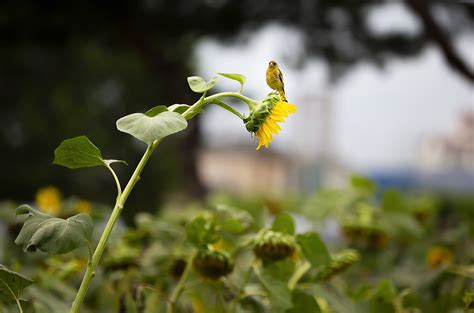 2023년 09월 04일 월요일 출석부 입니다 출석부 필포토 Feelphoto