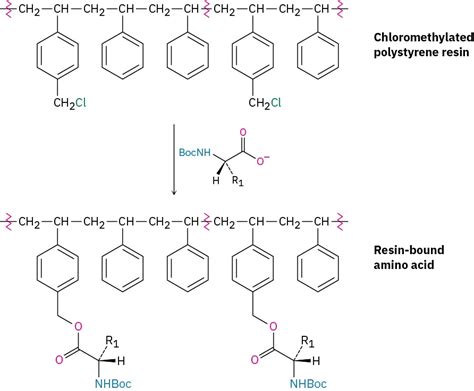 26 8 Automated Peptide Synthesis The Merrifield Solid Phase Method Organic Chemistry Openstax