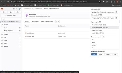 Himanshi Jain Himanshi Fab Academy