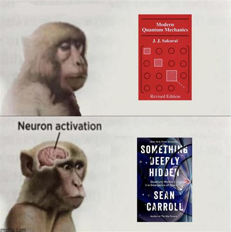 Neuron Activation Rphysicsmemes