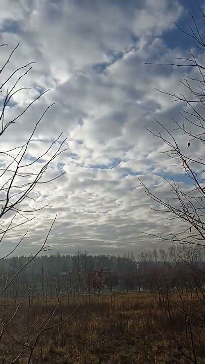 любовь россия шаман Youtube