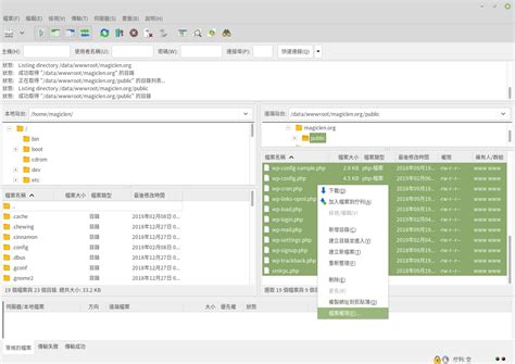 如何在wordpress更新和安裝外掛時，使用或是禁用ftp連線？ magiclen
