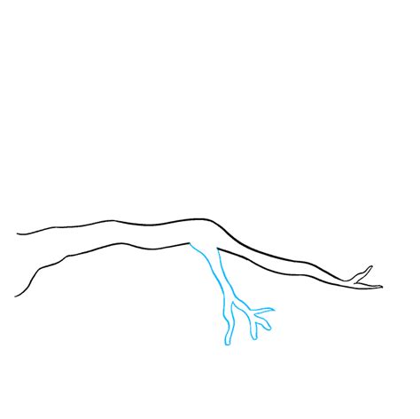 How To Draw A Tree Branch Really Easy Drawing Tutorial