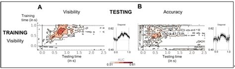 Figures And Data In A Theory Of Working Memory Without Consciousness Or Sustained Activity Elife