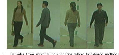 Figure 1 From Kernel Based Semantic Hashing For Gait Retrieval Semantic Scholar