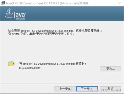 Idea安装与jdk11安装详细教程idea下载jdk11 Csdn博客