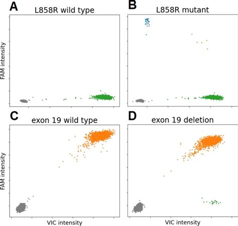 Droplet Digital Pcr Test For Egfr L858r For Wild Type Dna A And Download Scientific Diagram