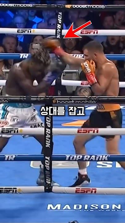 복싱에서 입체기동 보여주는 로마첸코 Youtube