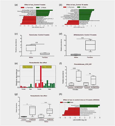 Microbiota Abundance Are Sex Dependent A B Lefse Analysis Of