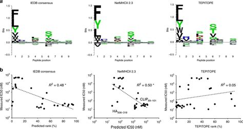 comparison of library enriched hla dr401 binding motif to mhc ii