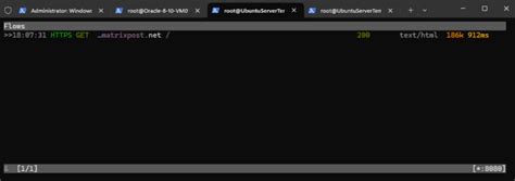 Mastering The Mitmproxy MITM Interactive HTTPS Proxy On Linux Matrixpost Net