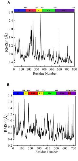 The Root Mean Square Fluctuations Of Cα Atoms At T 300 K Calculated