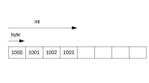 Understanding Primitive Data Types