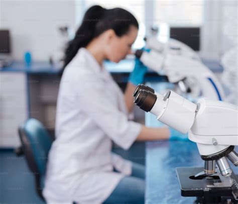 Wet Lab Vs Dry Lab What S The Difference