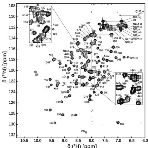 2d ¹h ¹⁵n Hsqc Of ¹⁵n ¹³c Labeled SaraΔn19 In Complex With Unlabeled Download Scientific