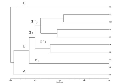 Upgma Dendrogram Of Ten Convolvulus Arvensis Population In Regions Of
