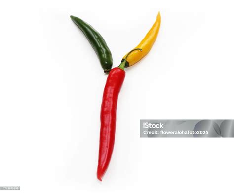 빨간색 녹색 노란색 칠리 페퍼로 만든 문자 Y 고추 고추로 만든 알파벳 Abc 문자 텍스트 백과 사전 비건 1 월 1월에 대한 스톡 사진 및 기타 이미지 Istock