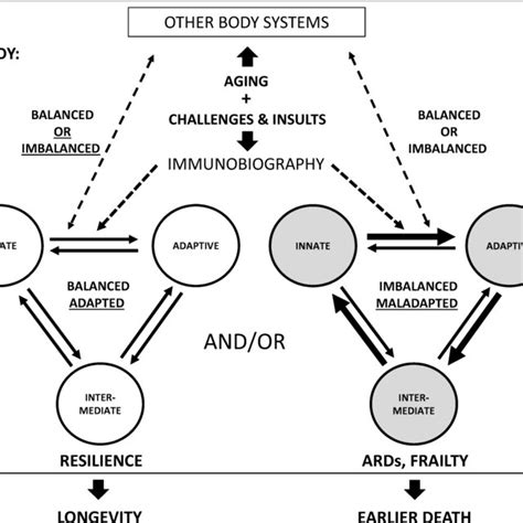 The Balance Between The Adaptive Maladaptive Patterns Of An Download Scientific Diagram