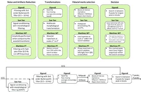 Processing Steps In The Detection Algorithms Of Ecg P And T Waves