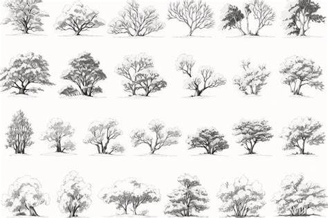 Premium Ai Image Minimal Style Cad Tree Line Drawing Side View Set Of