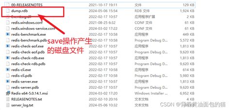 redis持久化存储 redis aof rewrite incremental fsync csdn博客