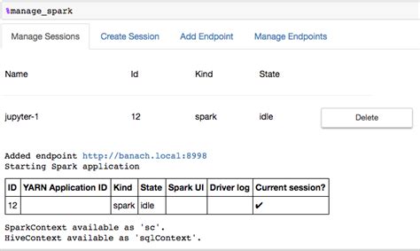 Using Jupyter With Sparkmagic And Livy Server On H Cloudera