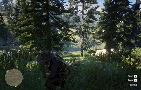 Weird Visual Bug Any Fixes R Reddeadredemption